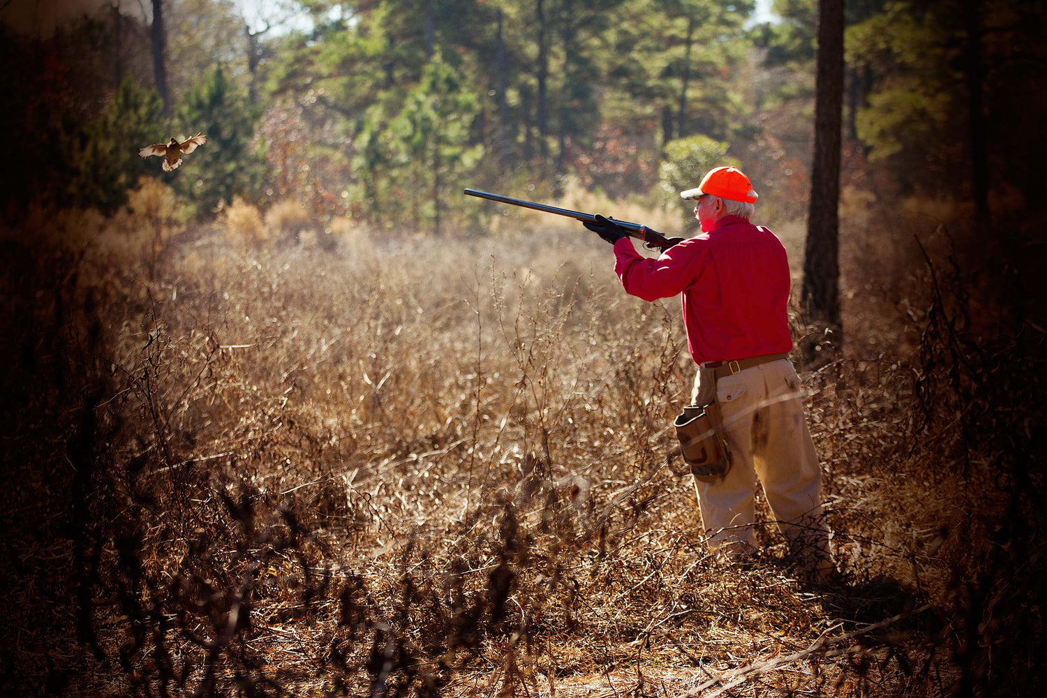 ABOUT US – GEORGE HI PLANTATION