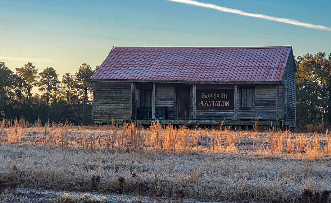 Gallery – GEORGE HI PLANTATION